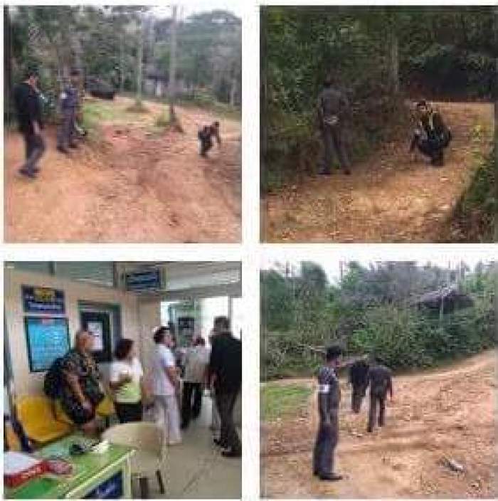 Tod bei Safari: So spielte sich der tragische Unfall ab, Thailand