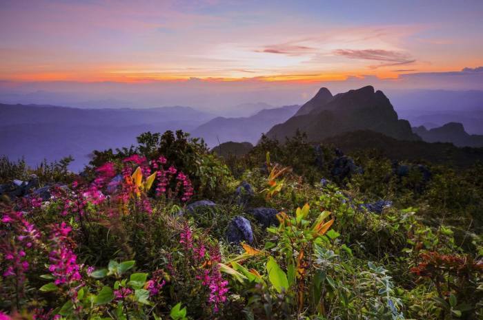 Vorbildprojekt Doi Luang Chiang Dao, Thailand, Chiang Mai